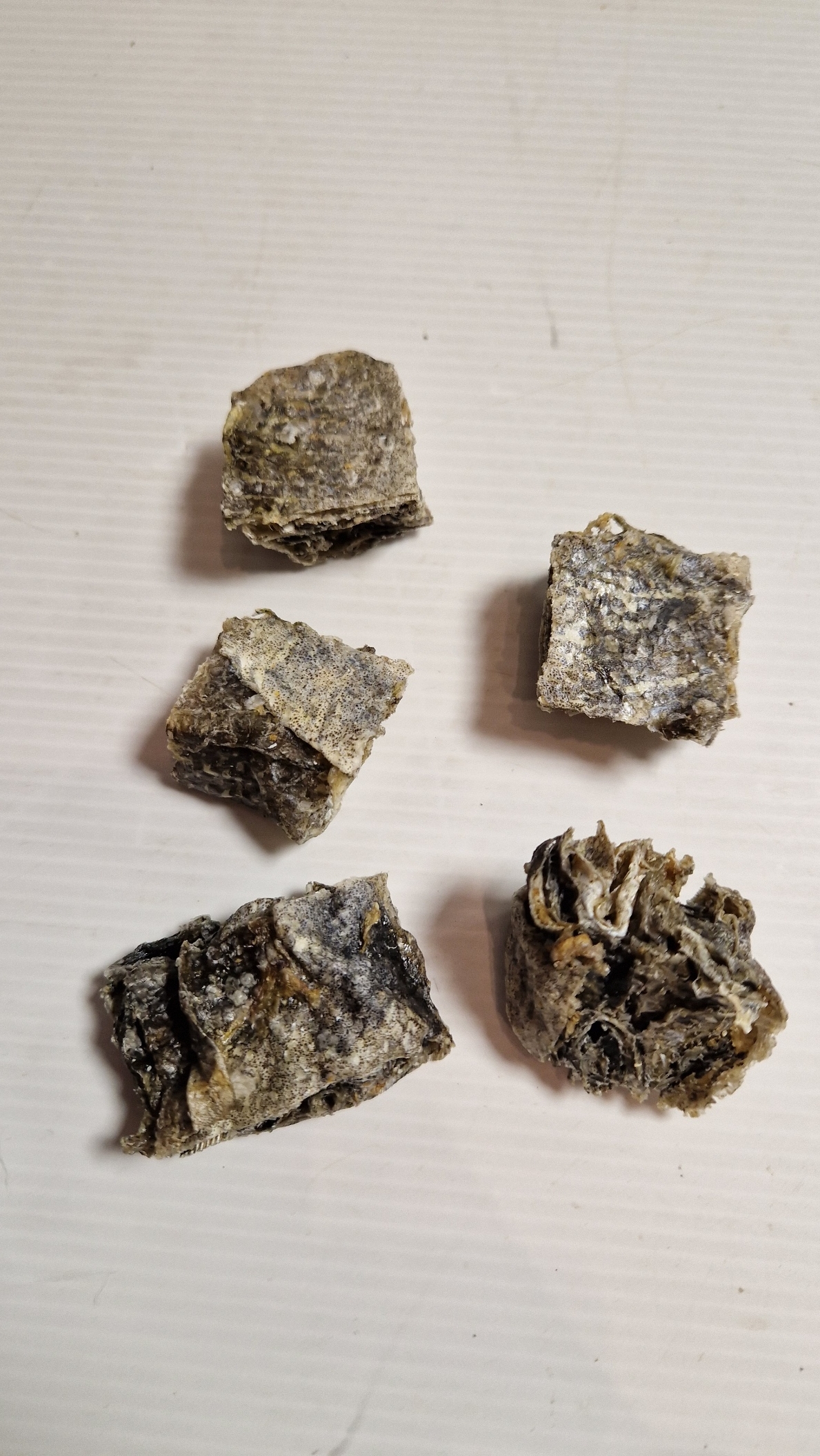 SACHET CUBE CABILLAUD 50G Maisa & Cie